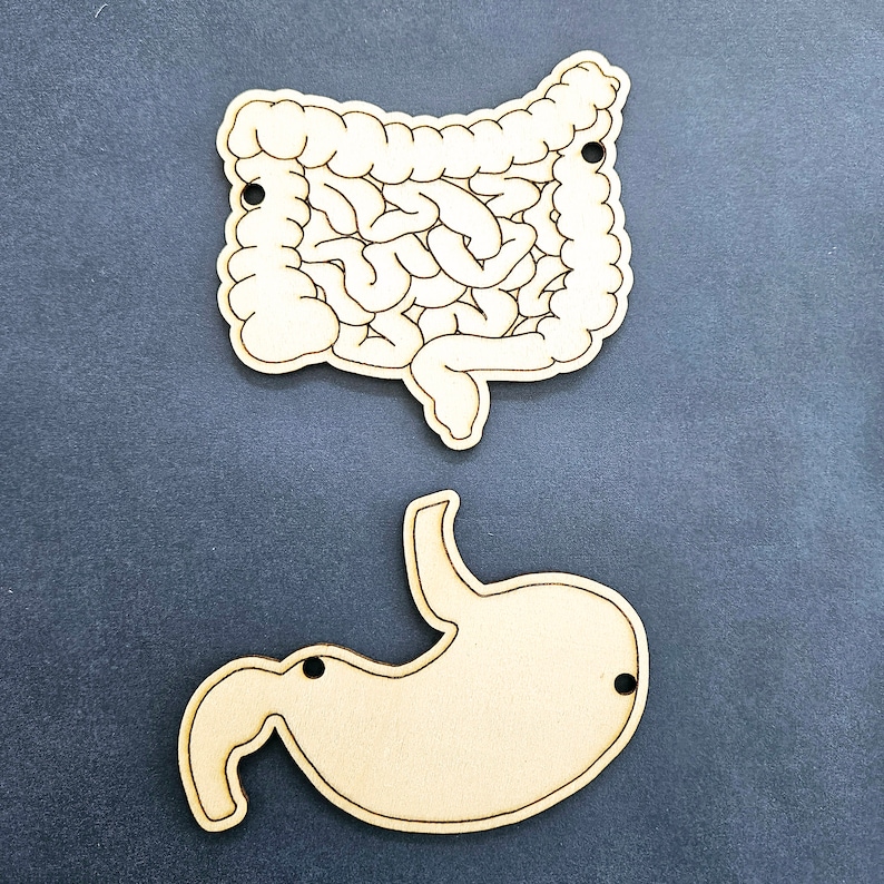 DIY Human Organs Educational Wood Garland Craft hand Drawn Paint and ...