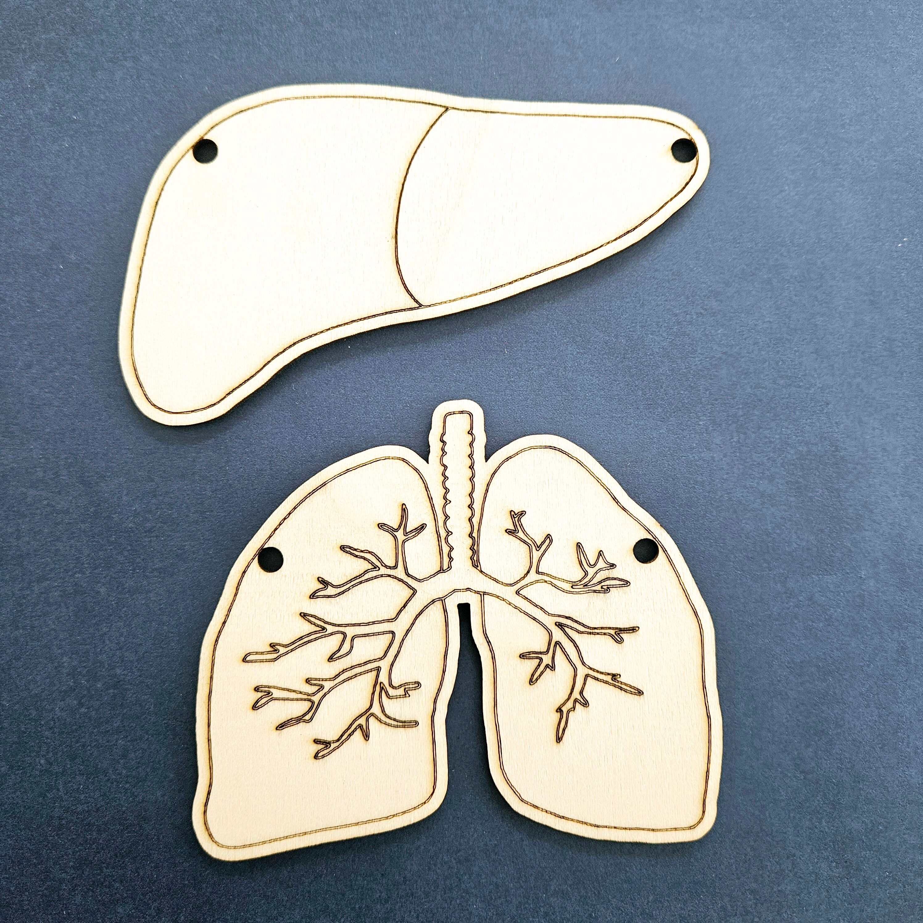 DIY Human Organs Educational Wood Garland Craft hand Drawn Paint and ...