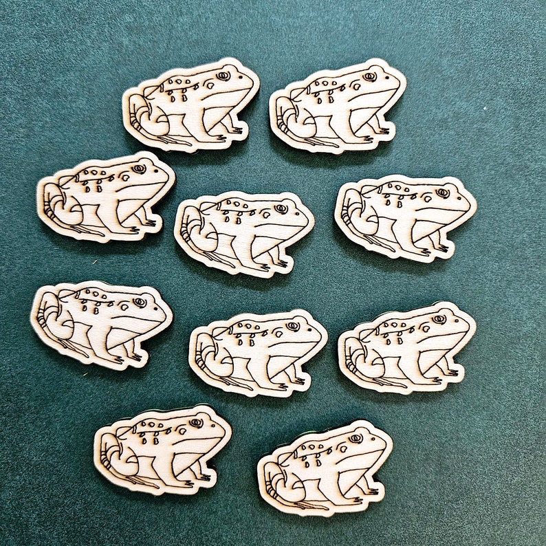 Frog and Lily Pad Math Counters hand Drawn - Etsy UK