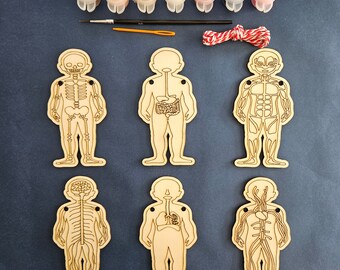 DIY Human Organs Educational Wood Garland Craft (hand Drawn)- Paint and ...