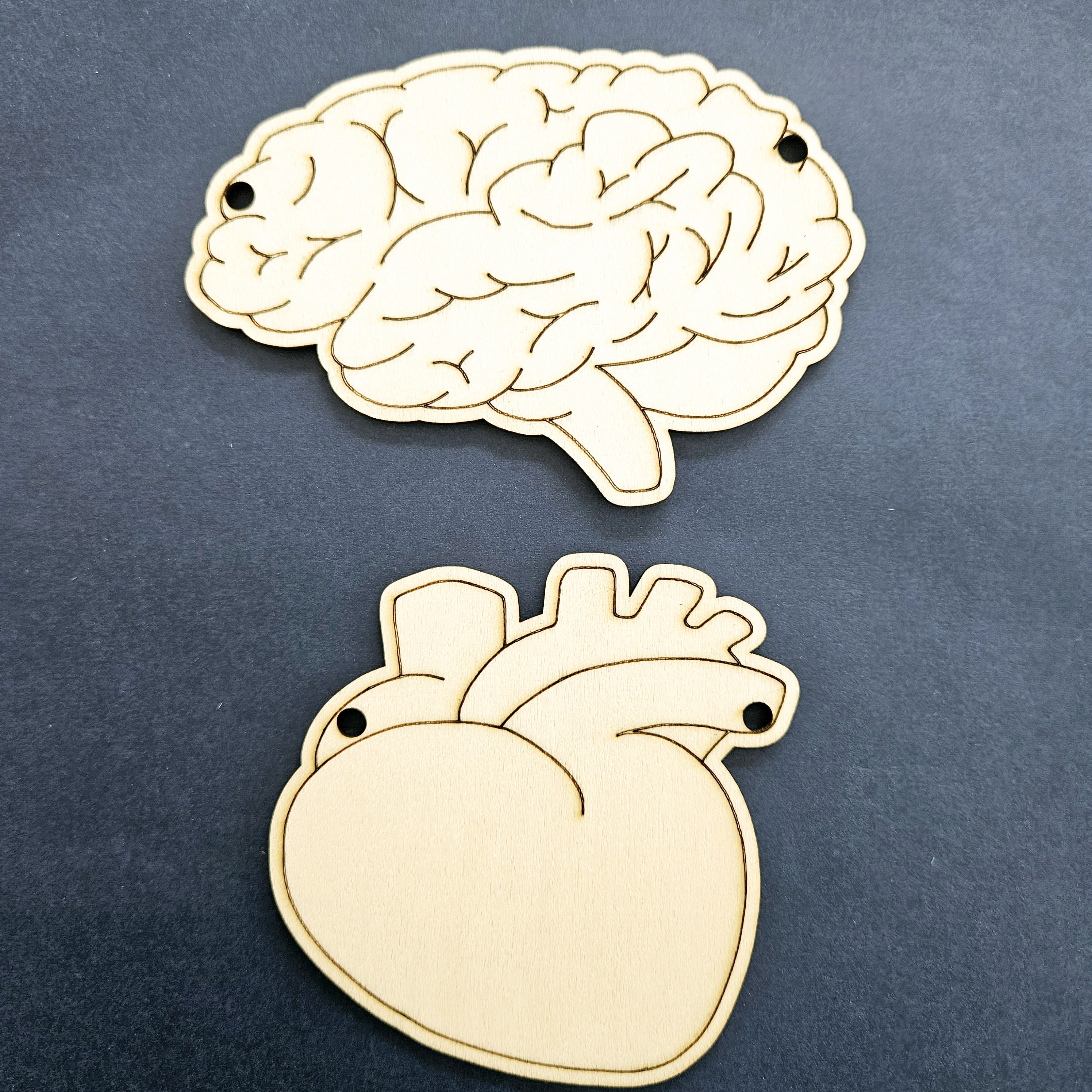 DIY Human Organs Educational Wood Garland Craft hand Drawn Paint and ...