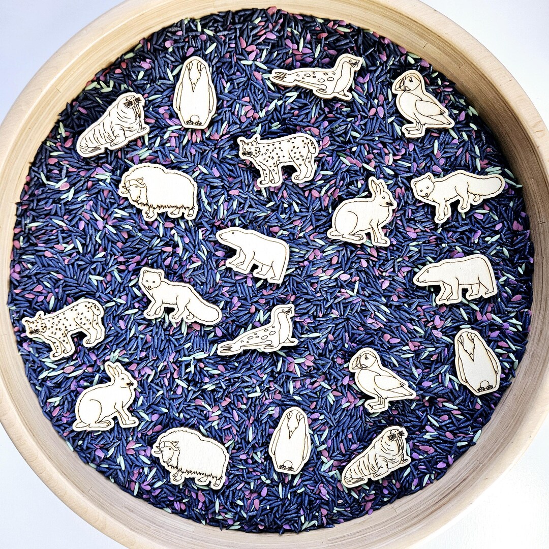 Polar Animal Math Counters (hand Drawn) - Etsy
