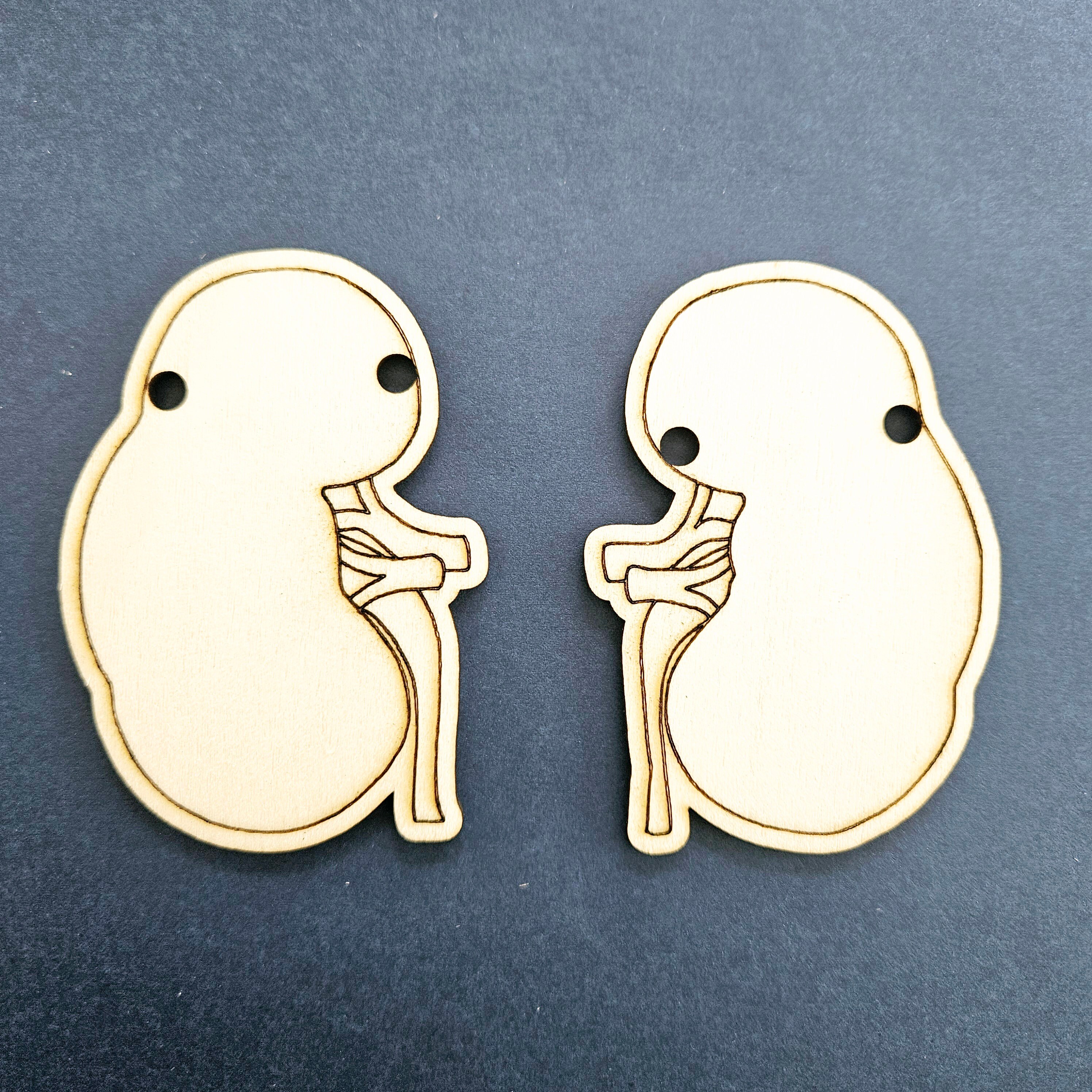 DIY Human Organs Educational Wood Garland Craft hand Drawn Paint and ...