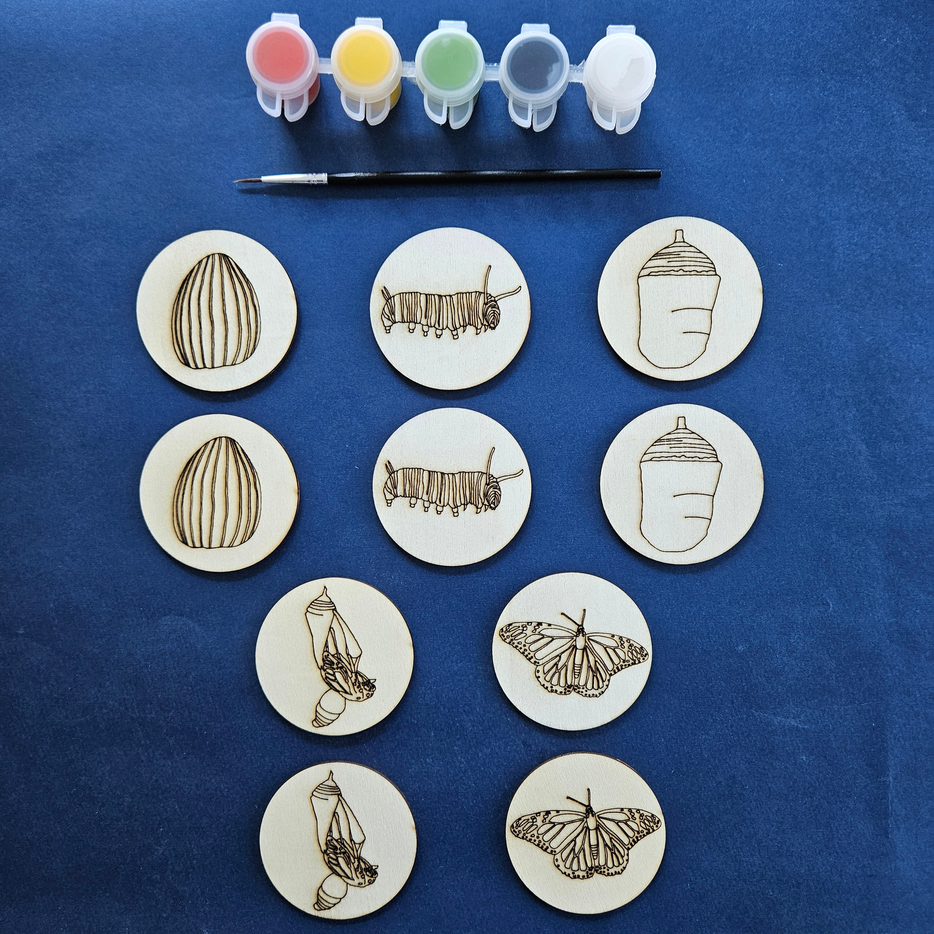 DIY Monarch Butterfly Lifecycle Matching Game Craft (hand Drawn) - Etsy