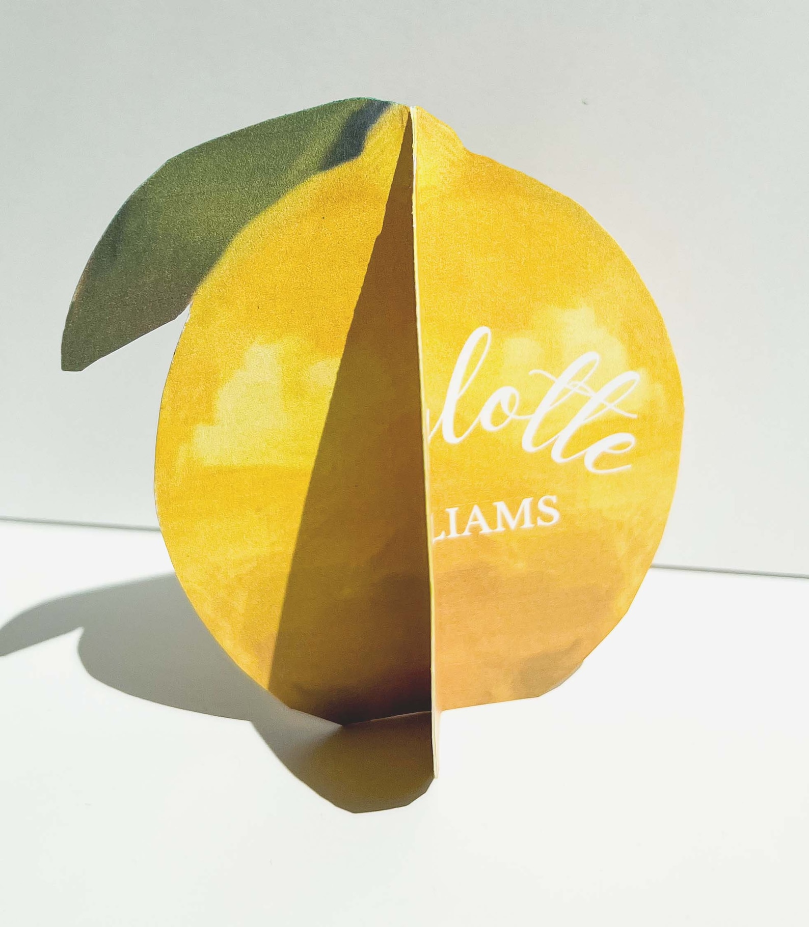 INSTANT DOWNLOAD PRINTABLE Lemon Citrus Slice Editable and ...