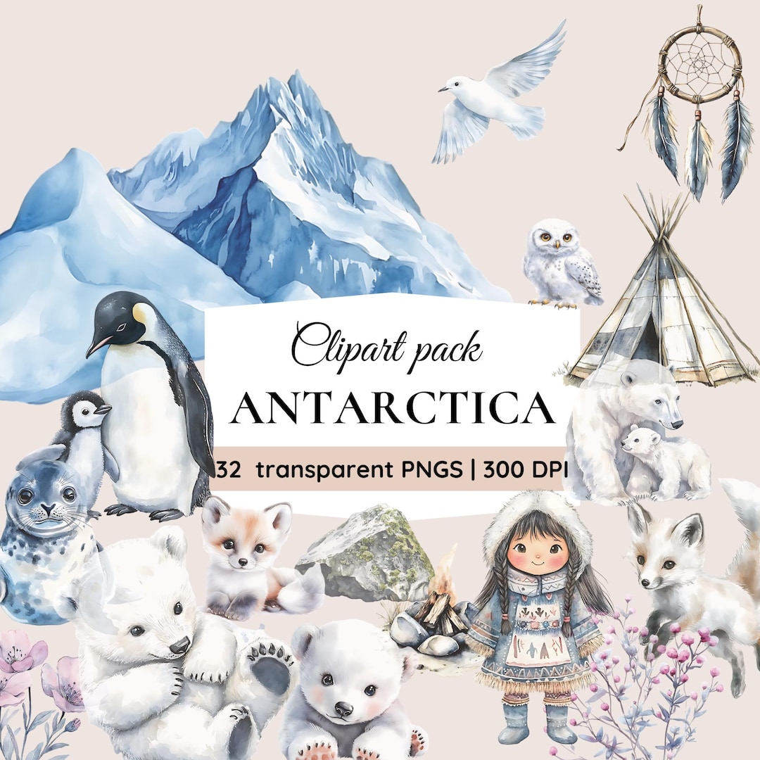 Watercolor Clipart, Antarctica Clipart Bundle, Polar Bear Clipart, Baby ...