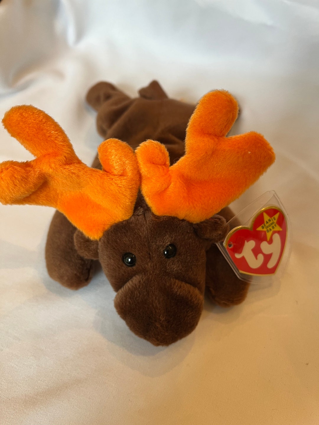 Chocolate the Moose - Ty Beanie Baby - Etsy