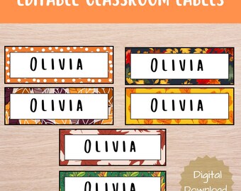 EDITABLE Name Label for School, Printable Classroom Name Tags, School ...