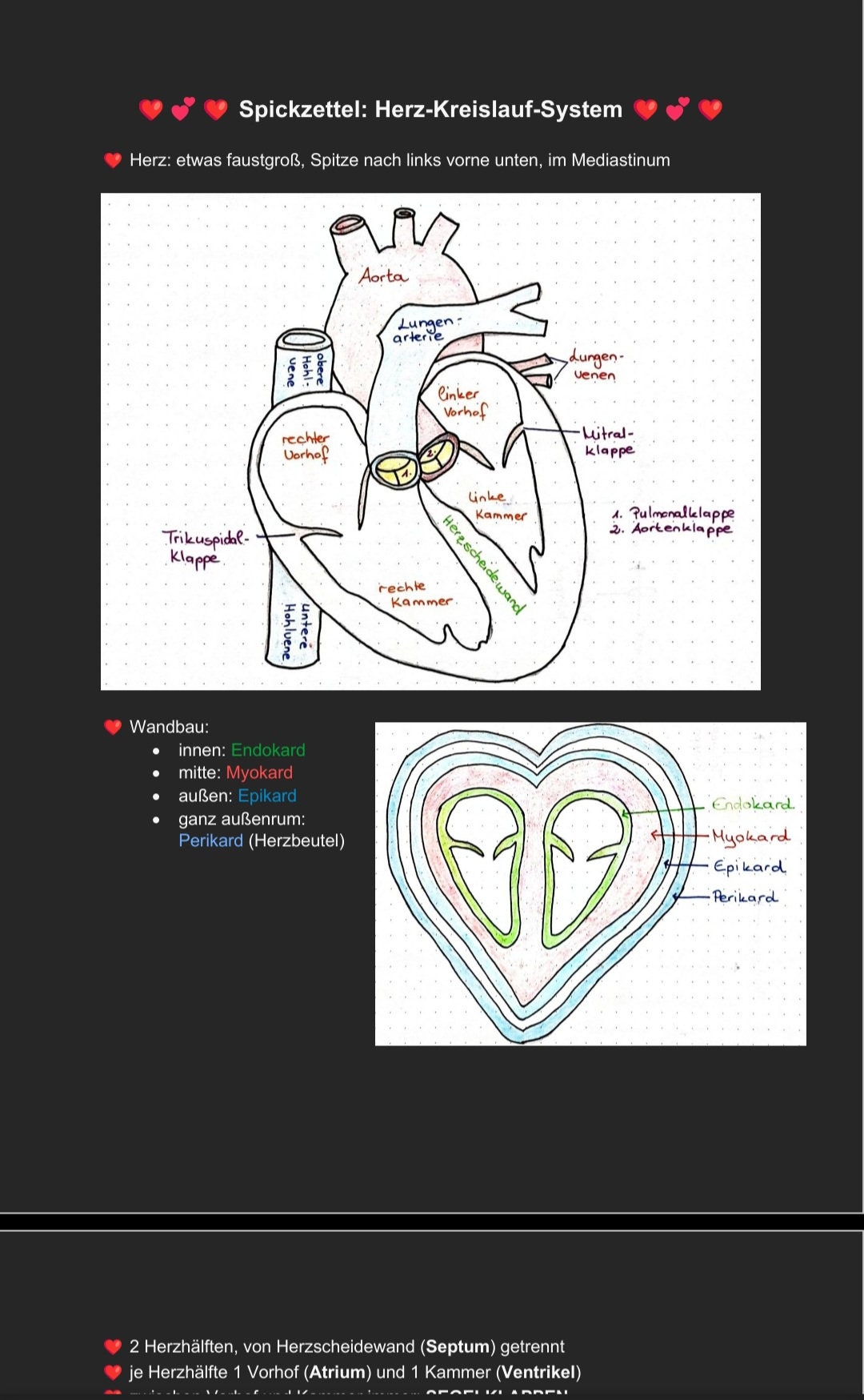 Cheat Sheet Heart Circulatory System - Etsy