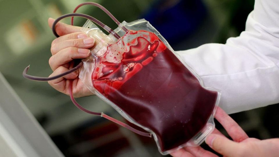 Cheat Sheet Blood - Etsy