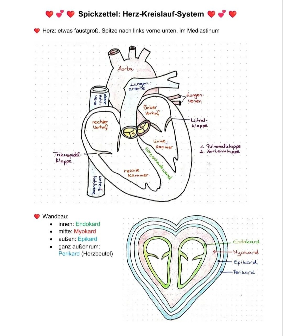 Cardiovascular System Cheat Sheet - Etsy Cardiovascular System Cheat Sheet - Etsy