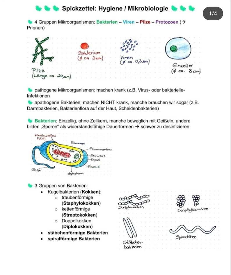 Cheat Sheet on Microbiology and Hygiene - Etsy
