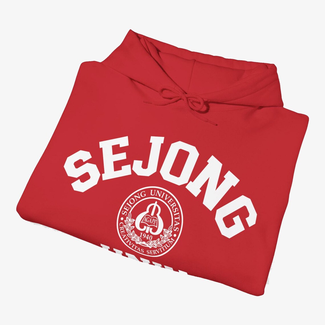Sejong University - South Korea College / Unisex Hoodie / K-pop, K ...