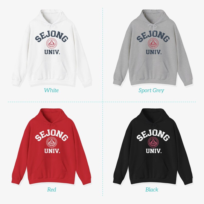 Sejong University - South Korea College / Unisex Hoodie / K-pop, K ...