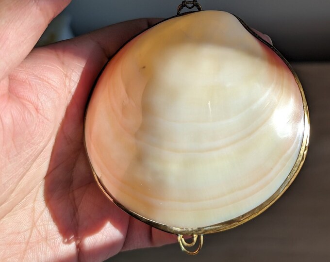 Vintage Real Seashell Clam Shell Brass Coin Purse - Etsy