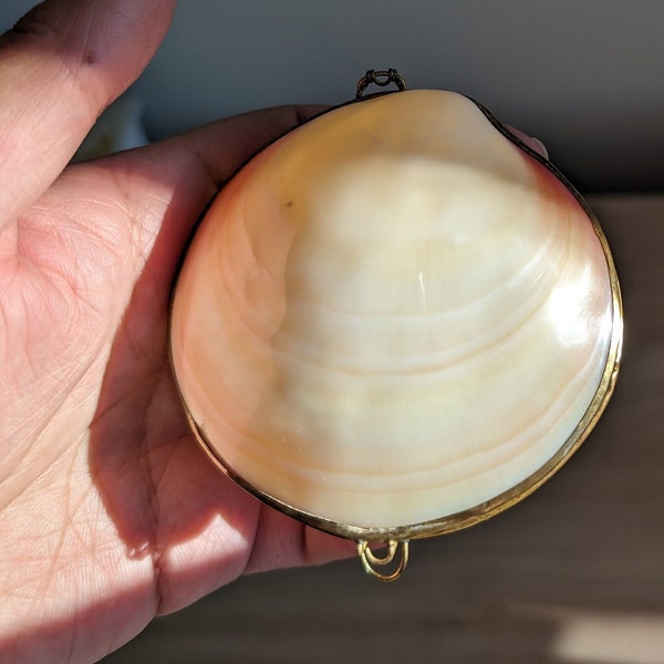 Seashell Purse - Etsy