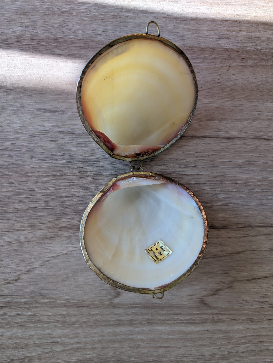 Vintage Real Seashell Clam Shell Brass Coin Purse - Etsy