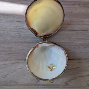 Vintage Real Seashell Clam Shell Brass Coin Purse - Etsy