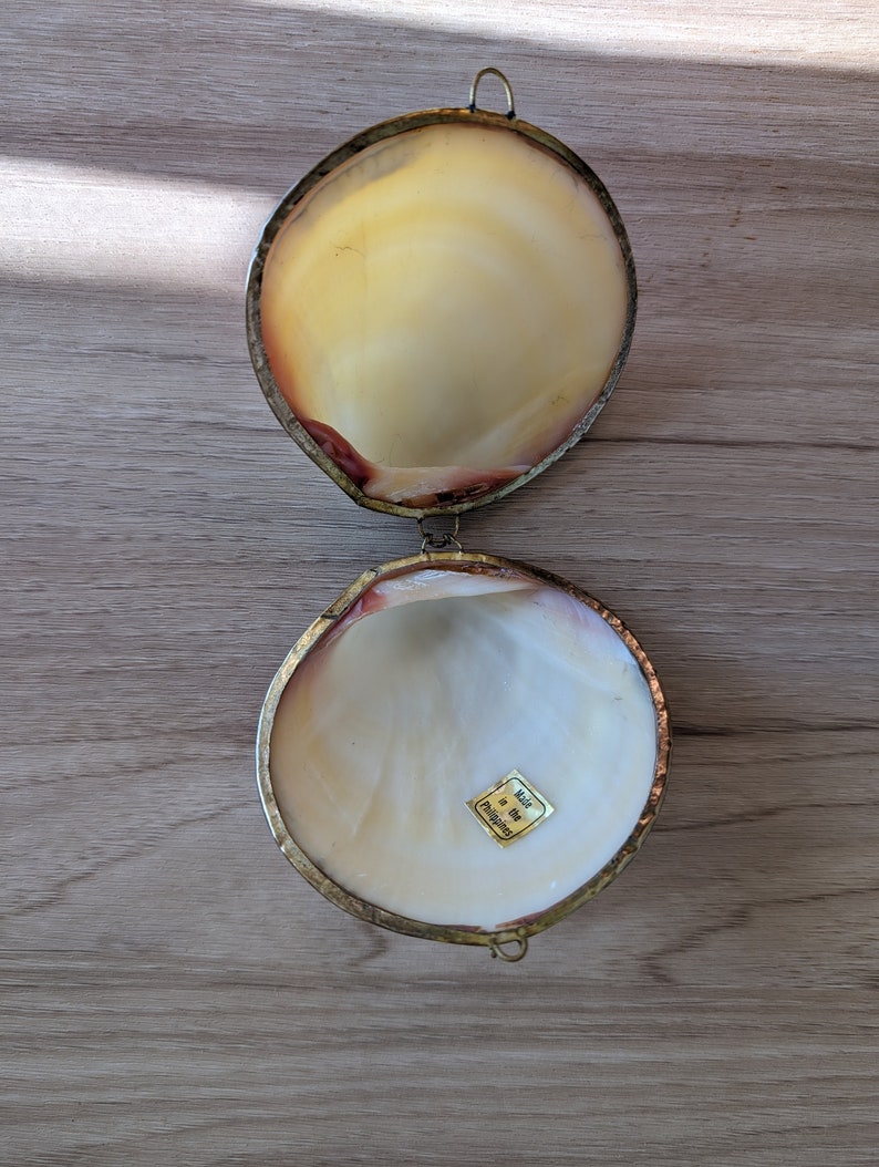 Vintage Real Seashell Clam Shell Brass Coin Purse - Etsy