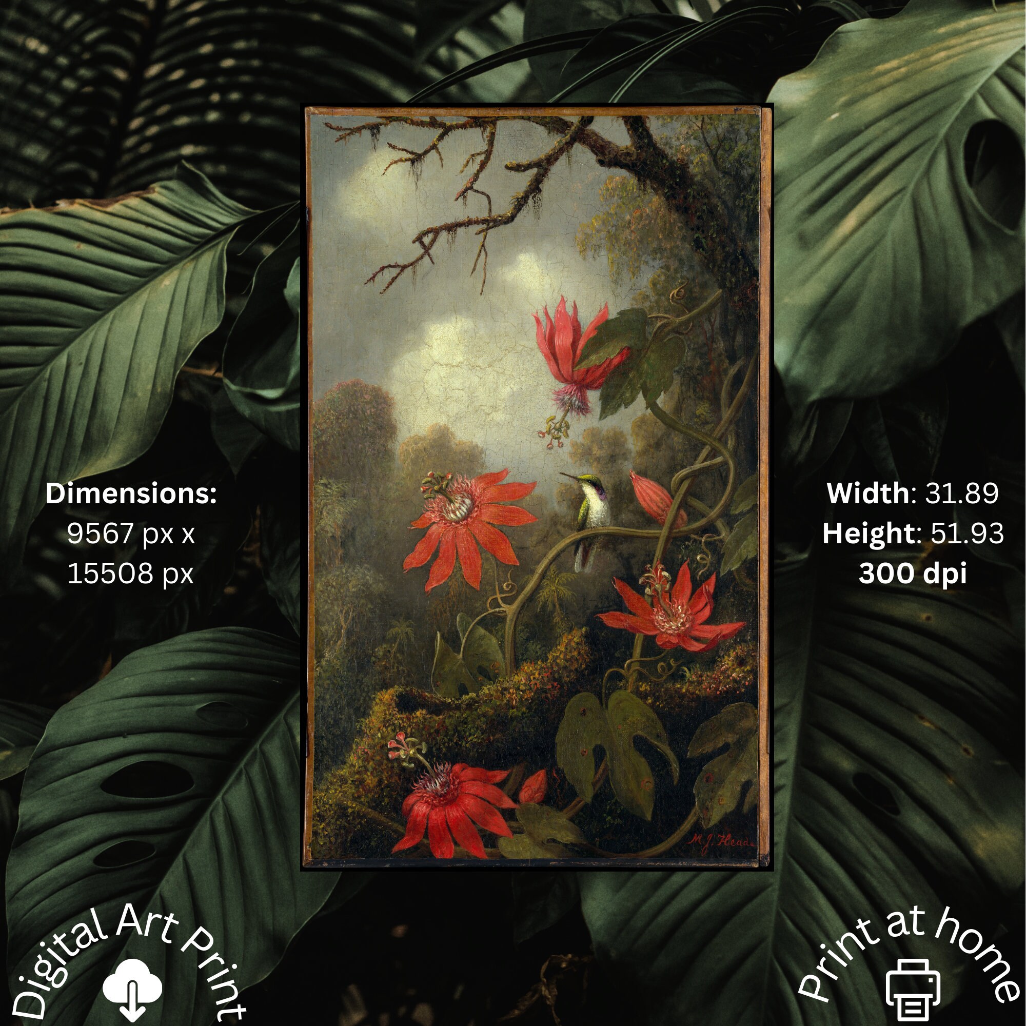 Digital Download: Martin Johnson Heade's Hummingbird and Passionflowers ...