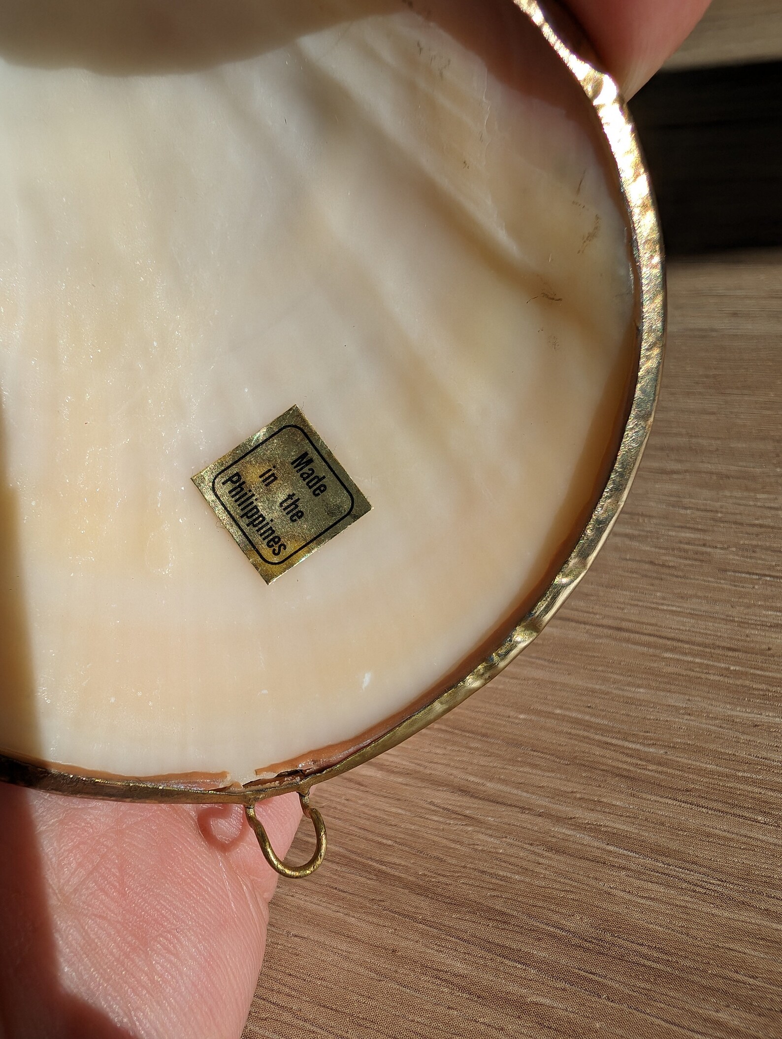 Vintage Real Seashell Clam Shell Brass Coin Purse - Etsy