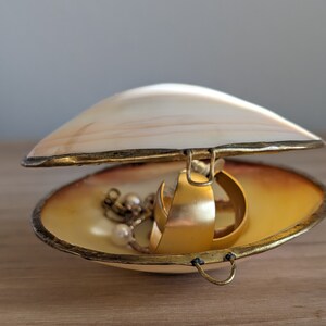 Vintage Real Seashell Clam Shell Brass Coin Purse - Etsy