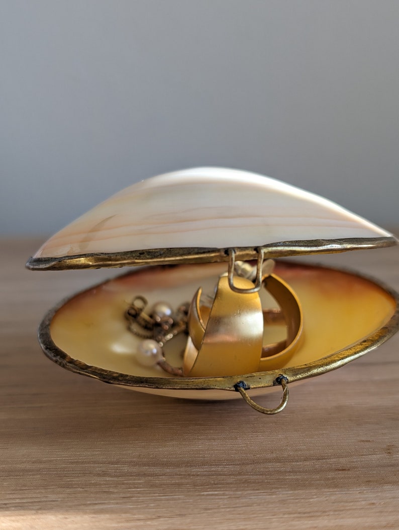 Vintage Real Seashell Clam Shell Brass Coin Purse - Etsy