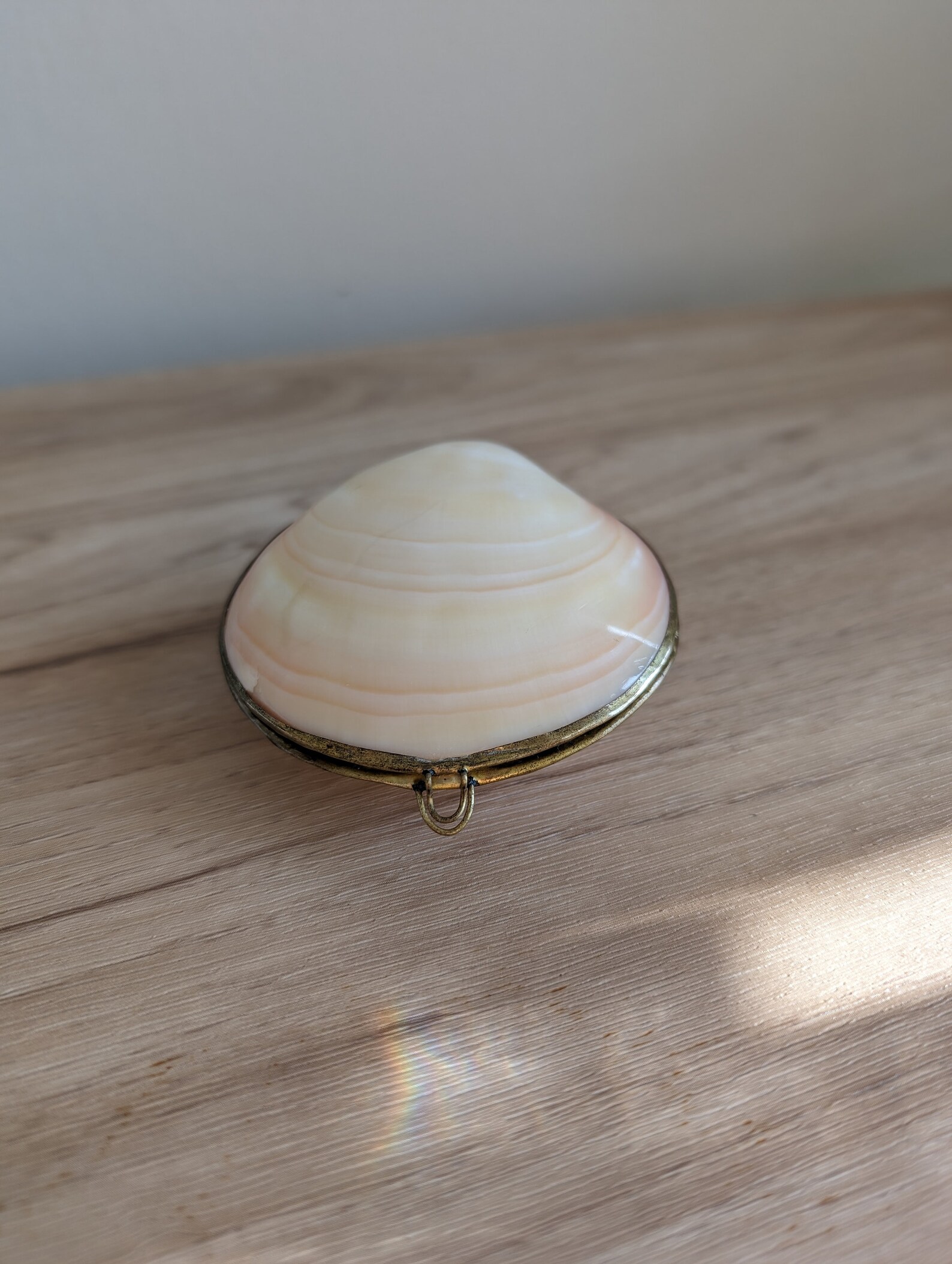 Vintage Real Seashell Clam Shell Brass Coin Purse - Etsy
