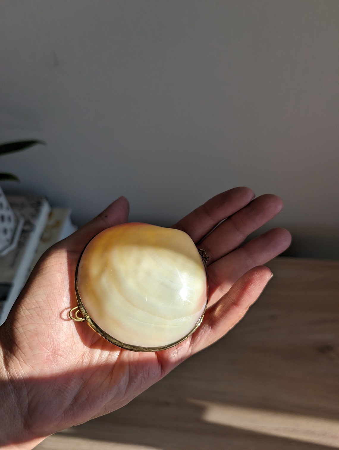 Vintage Real Seashell Clam Shell Brass Coin Purse - Etsy