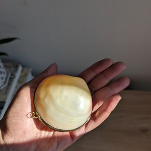 Vintage Real Seashell Clam Shell Brass Coin Purse - Etsy