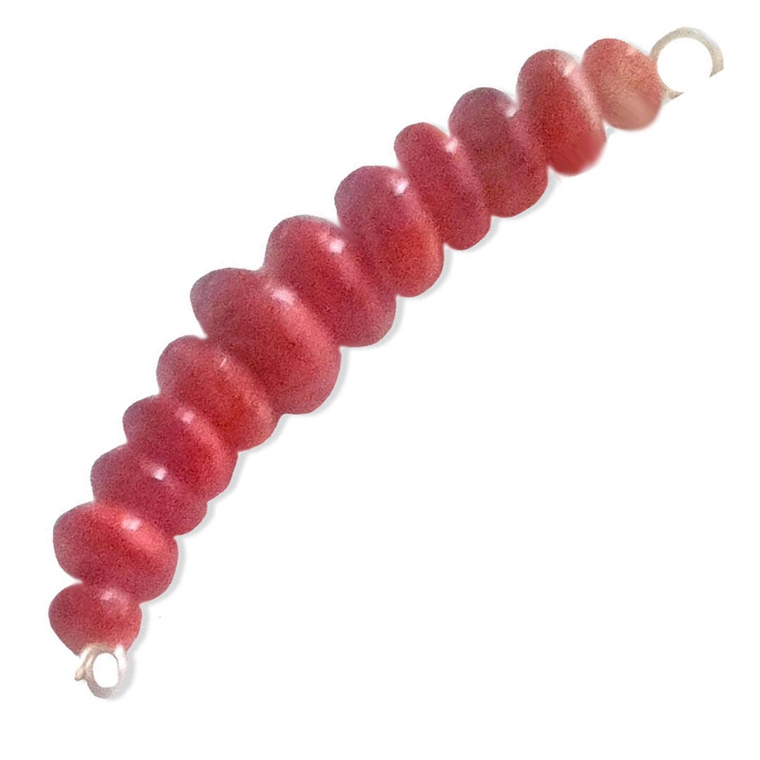 USA | 12 Rare Red Spiny Oyster Rondel Rondelle Beads ~10-11mm | Sea ...