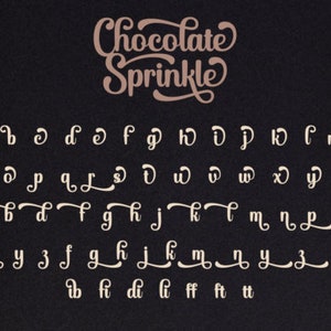 Chocolate Sprinkle Font, Unique Handwritten Font, Classic Serif Font, Retro Calligraphy Font ...