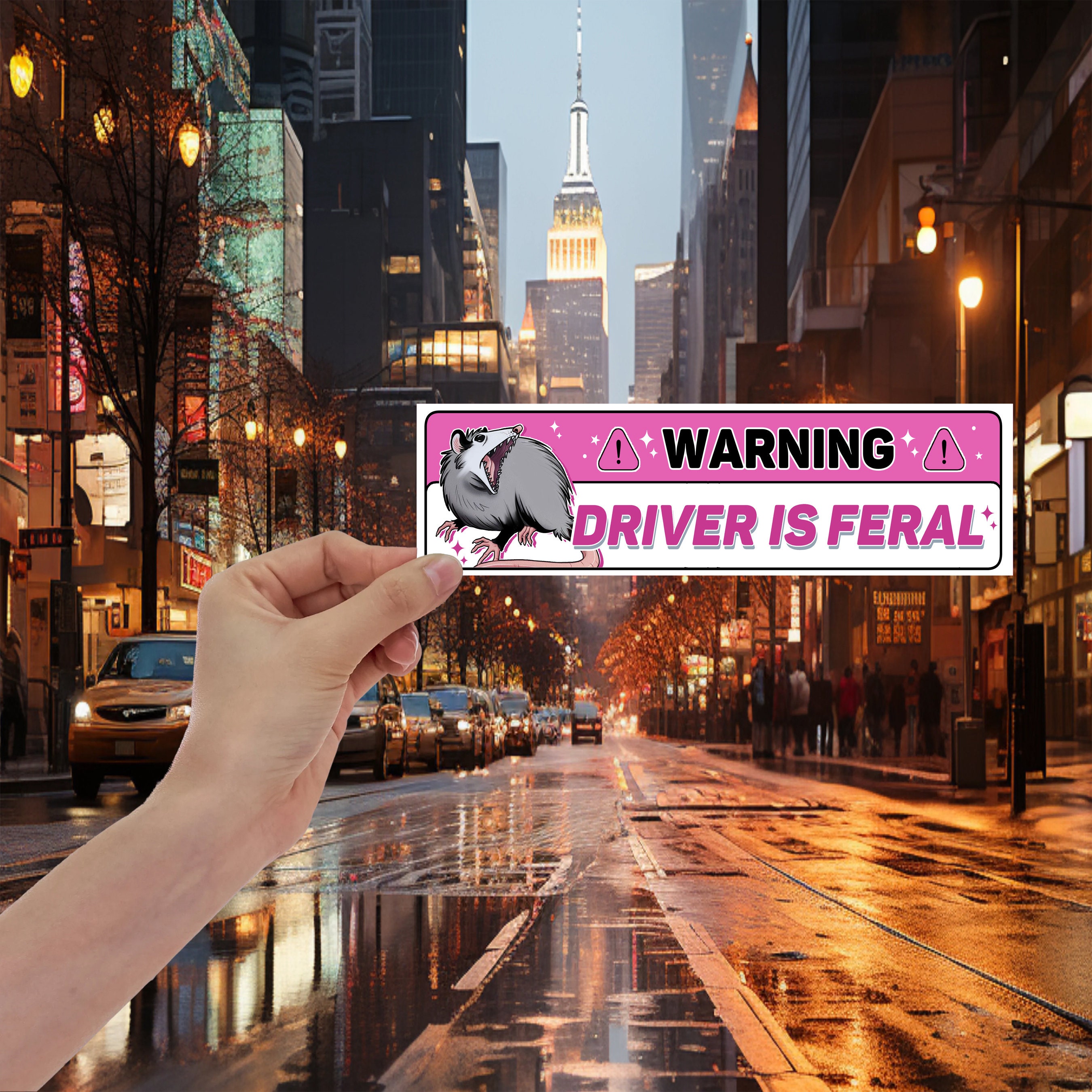 Truck Vinyl Decals, Silly Sticker, How's My Driving, Car Sticker - Etsy