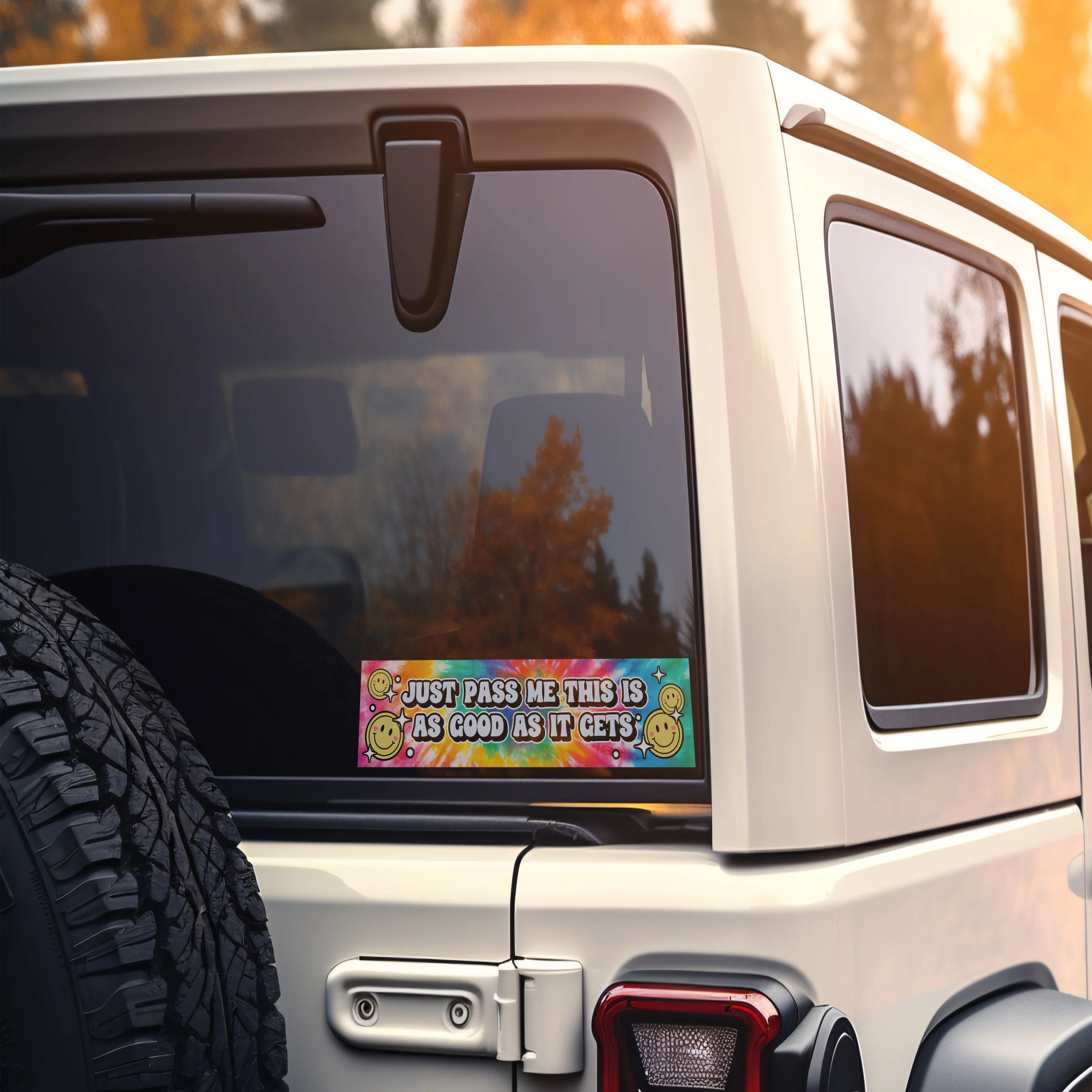 Meme Sticker, Driver Training, Driver's Ed, Bad New Driver - Etsy