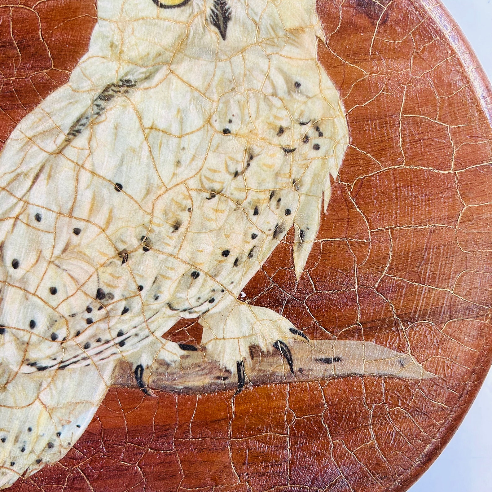 Round Wooden Owl Plaques Wall Decor Handmade Crackle Art 8 - Etsy