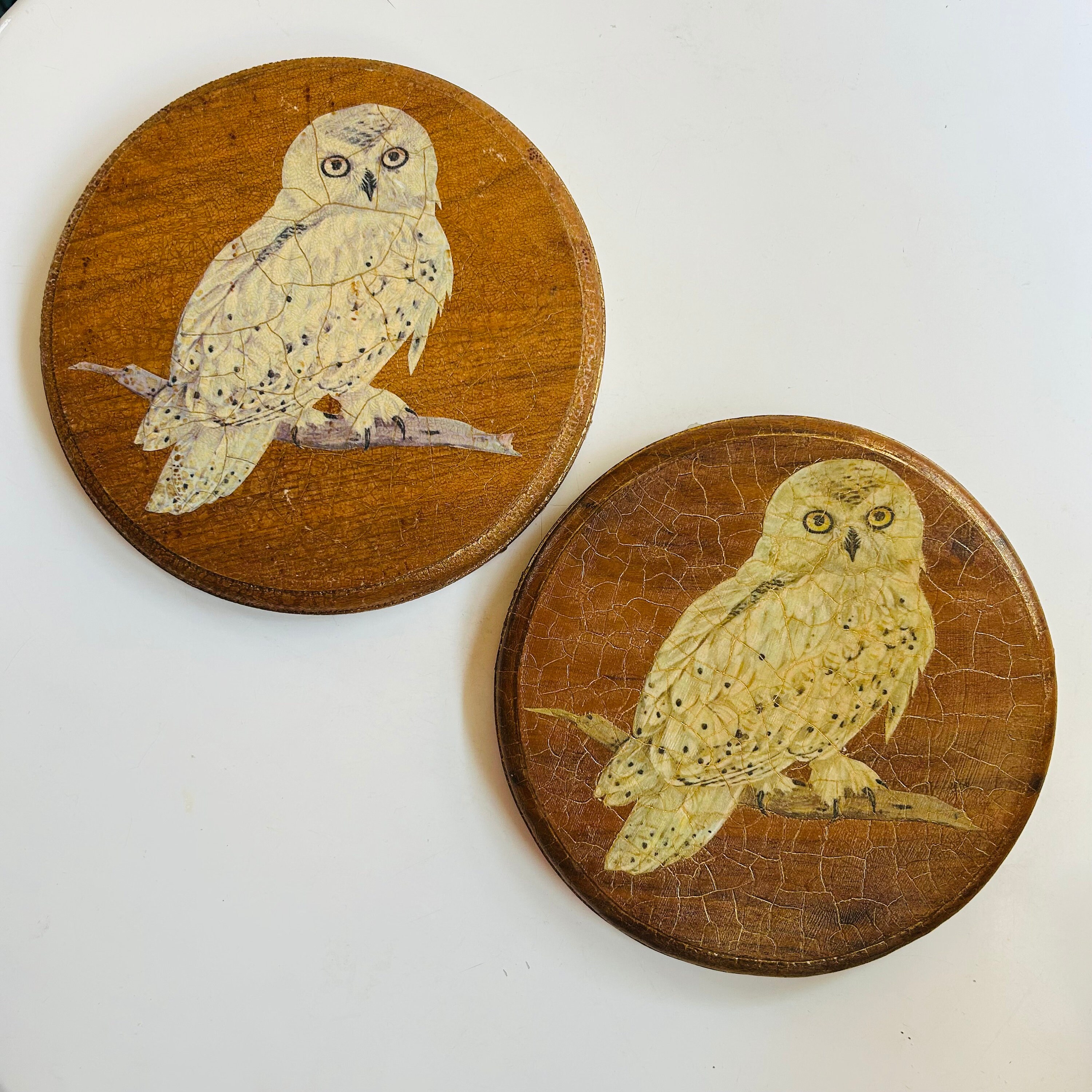 Round Wooden Owl Plaques Wall Decor Handmade Crackle Art 8 - Etsy
