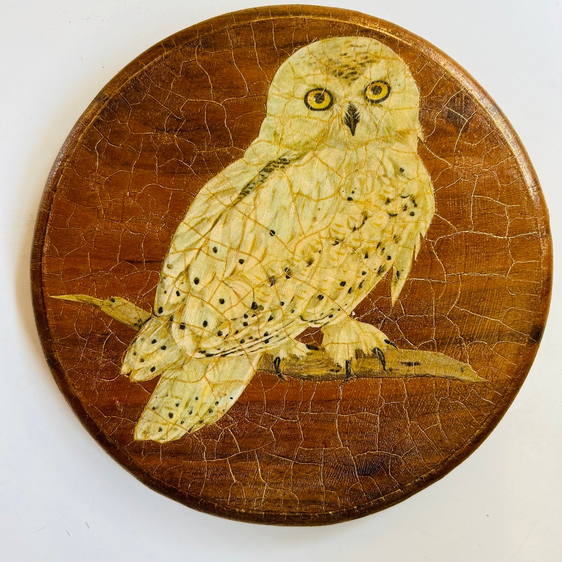 Round Wooden Owl Plaques Wall Decor Handmade Crackle Art 8 - Etsy