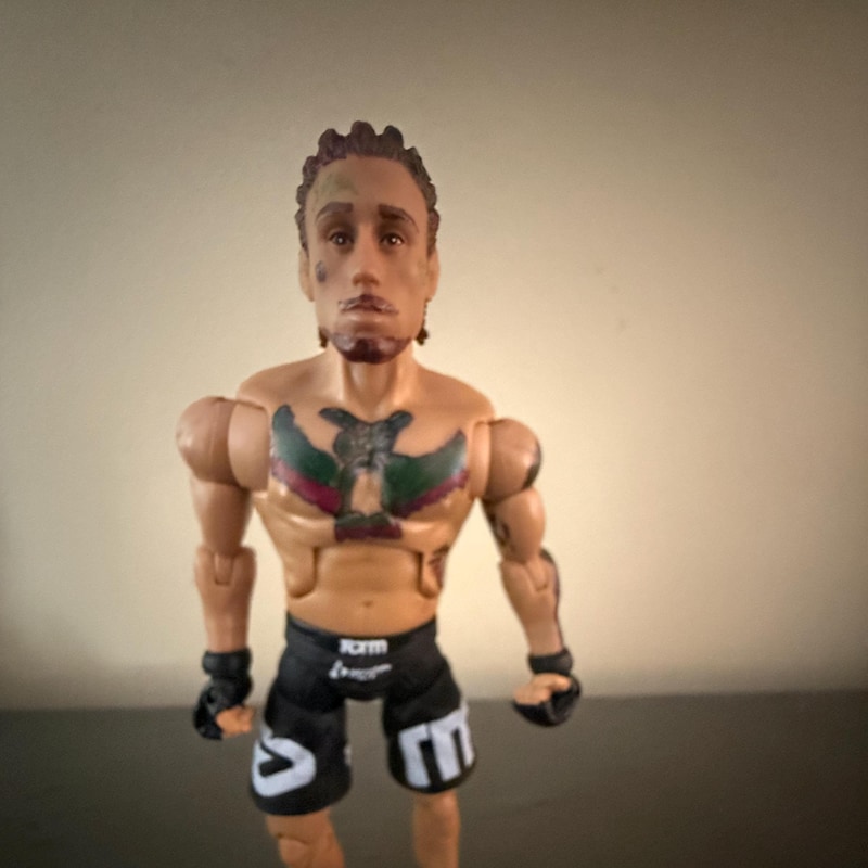 Wwe Custom Figures - Etsy