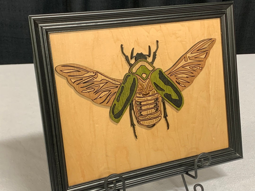 11x14 Laser Cut Insect Portraits - Etsy