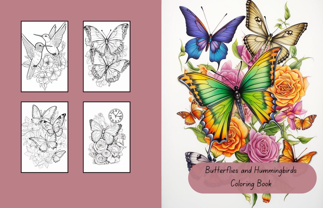 Butterflies and Hummingbirds Coloring Book - Etsy