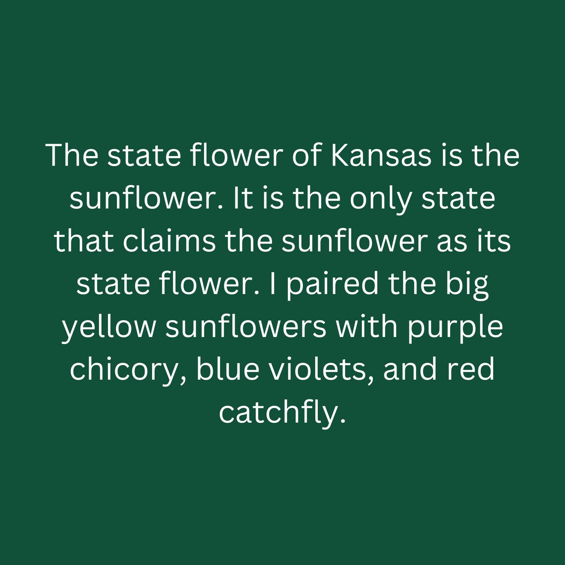 Kansas State Watercolor Painting, State Flower Painting, Custom ...