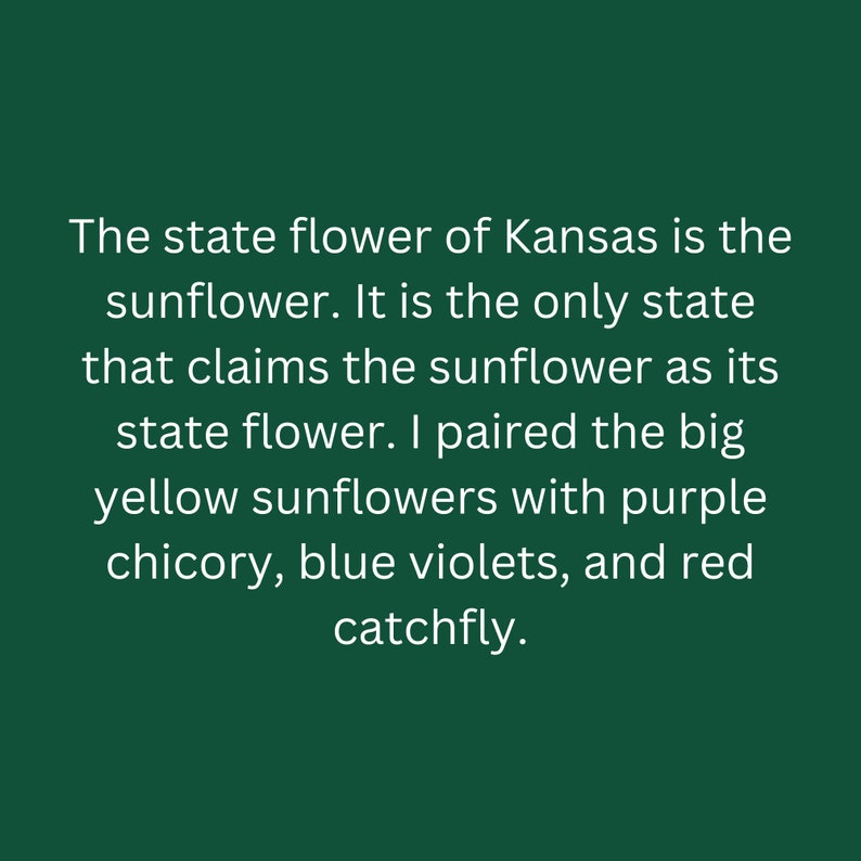 Kansas State Watercolor Painting, State Flower Painting, Custom ...