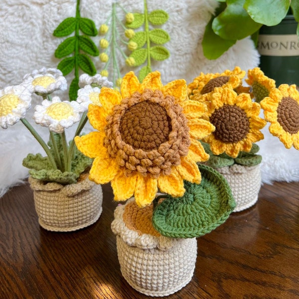 Crochet Flower Pot Gift - 60+ Gift Ideas for 2024
