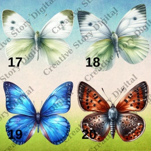 Whimsical Butterfly Clipart Bundle - Vibrant Watercolor Butterflies for ...