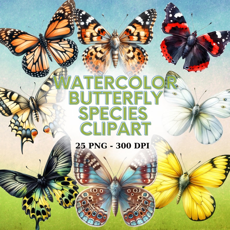 Whimsical Butterfly Clipart Bundle - Vibrant Watercolor Butterflies for ...