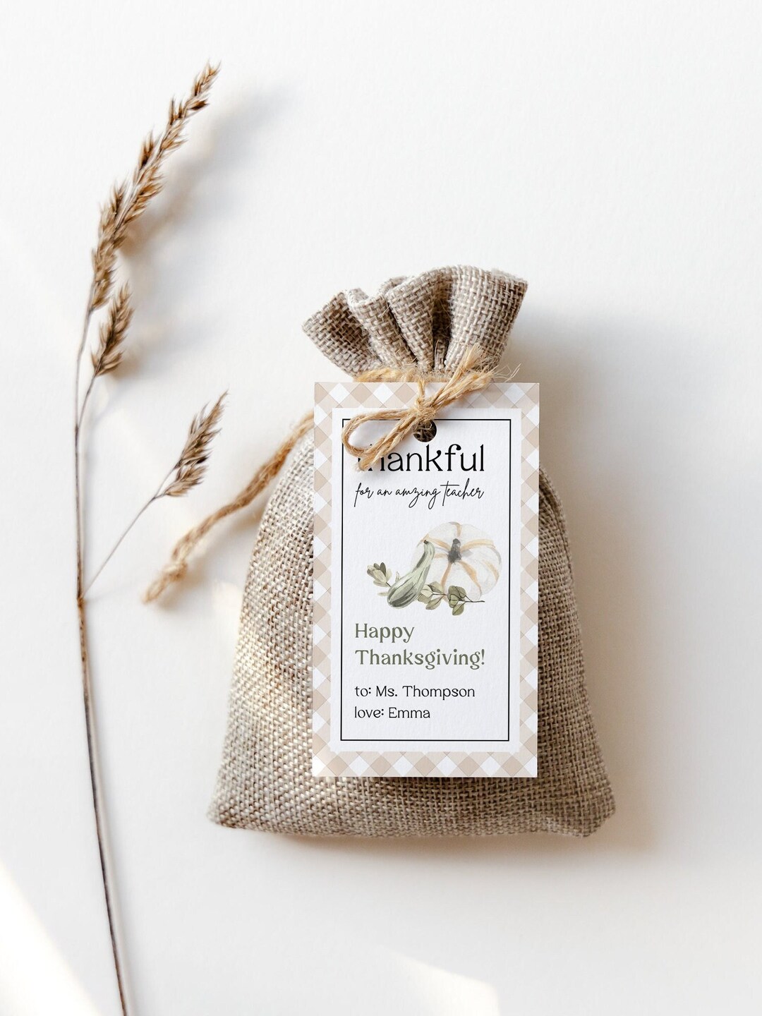 Thankful for an Amazing Teacher Gift Tag | Printable Teacher ...