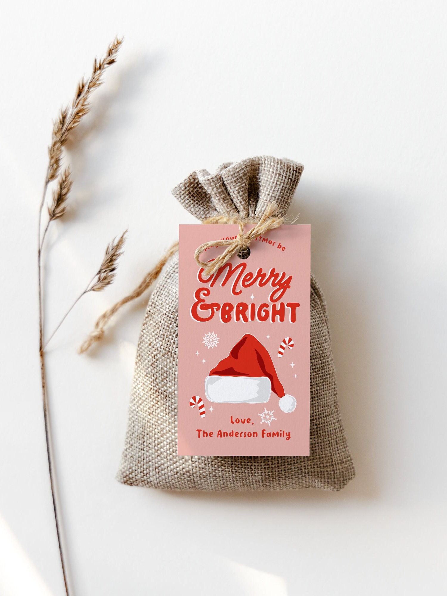 Editable Christmas Gift Tag | Printable Holiday Gift Tags, Christmas ...