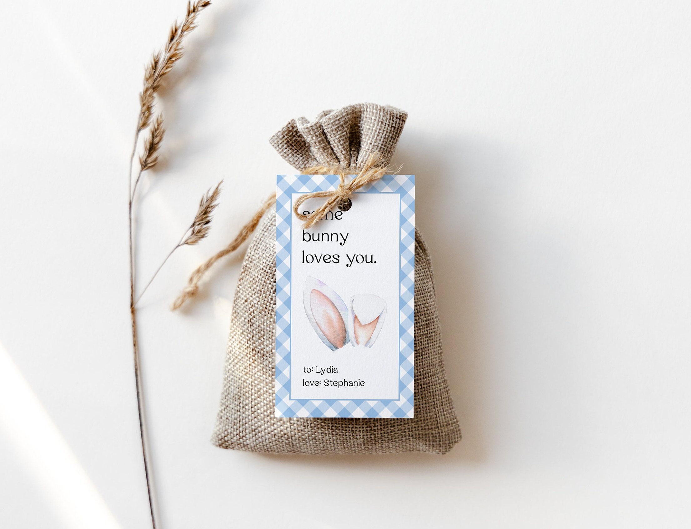 Editable Easter Gift Tags Some Bunny Loves You Gift Tag, Printable ...