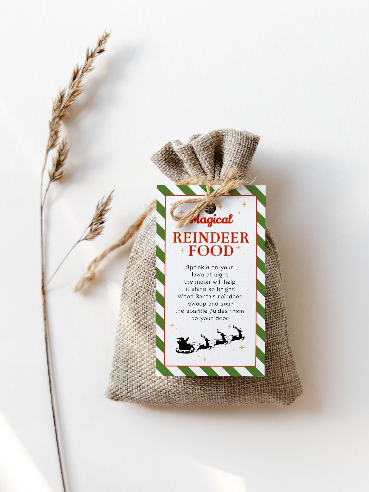 Magic Reindeer Food | Printable Magical Reindeer Food Tag, Reindeer ...