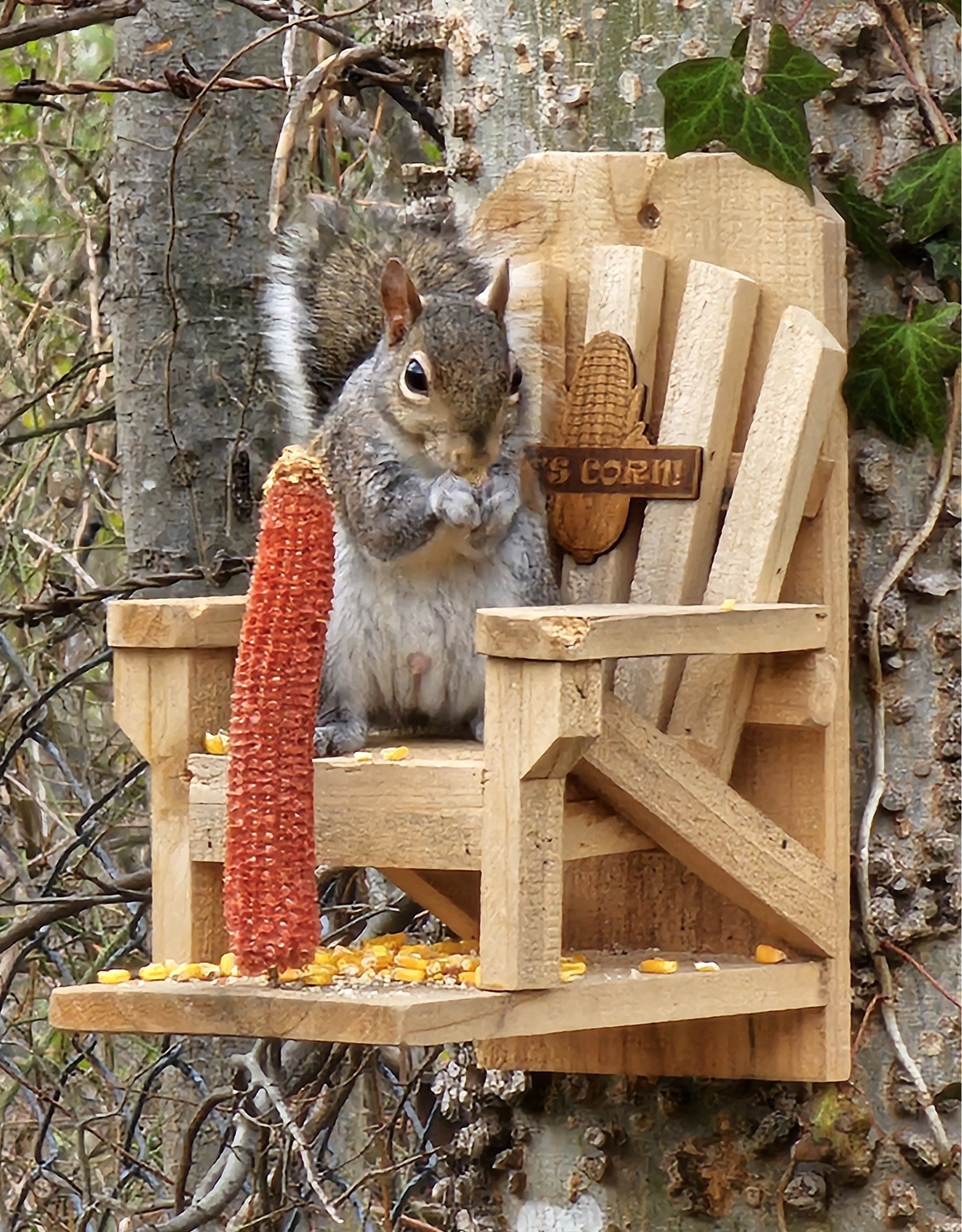 It's Corn Cedar Adirondack Chair Squirrel Feeder for Garden or Backyard ...